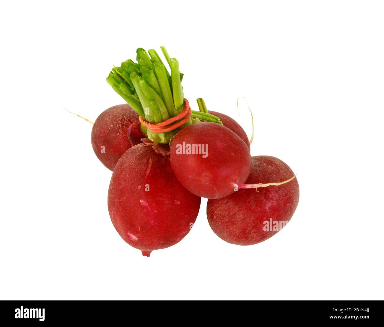 Group of five whole red radish with fresh green leaves isolated on ...