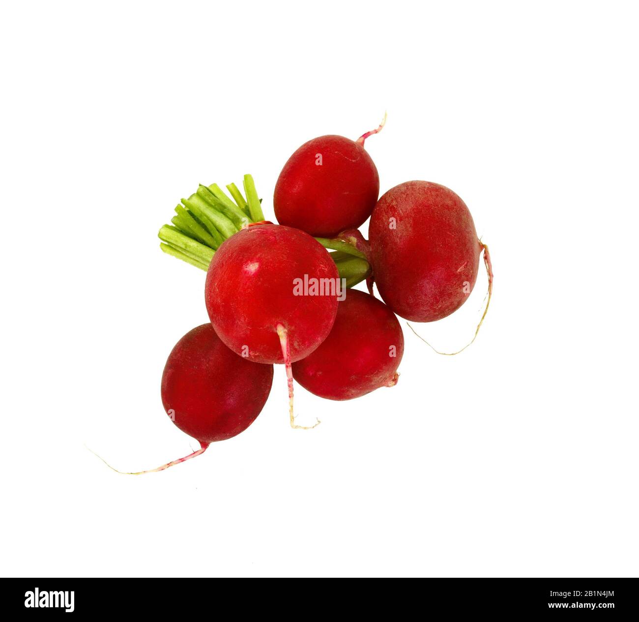 Group of five whole red radish with fresh green leaves isolated on ...