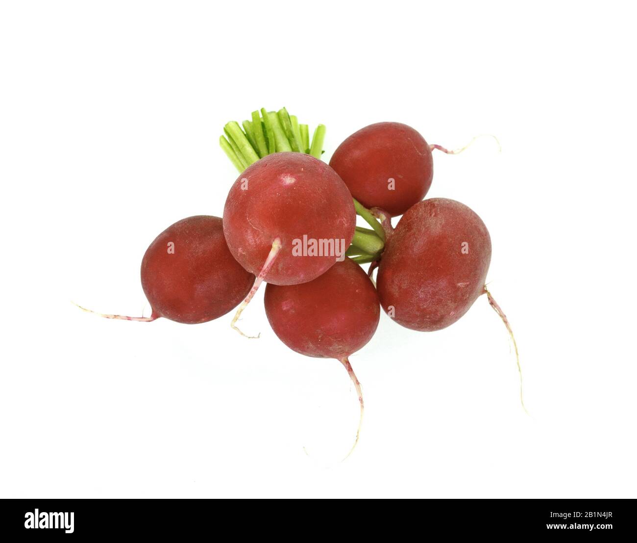 Group of five whole red radish with fresh green leaves isolated on ...
