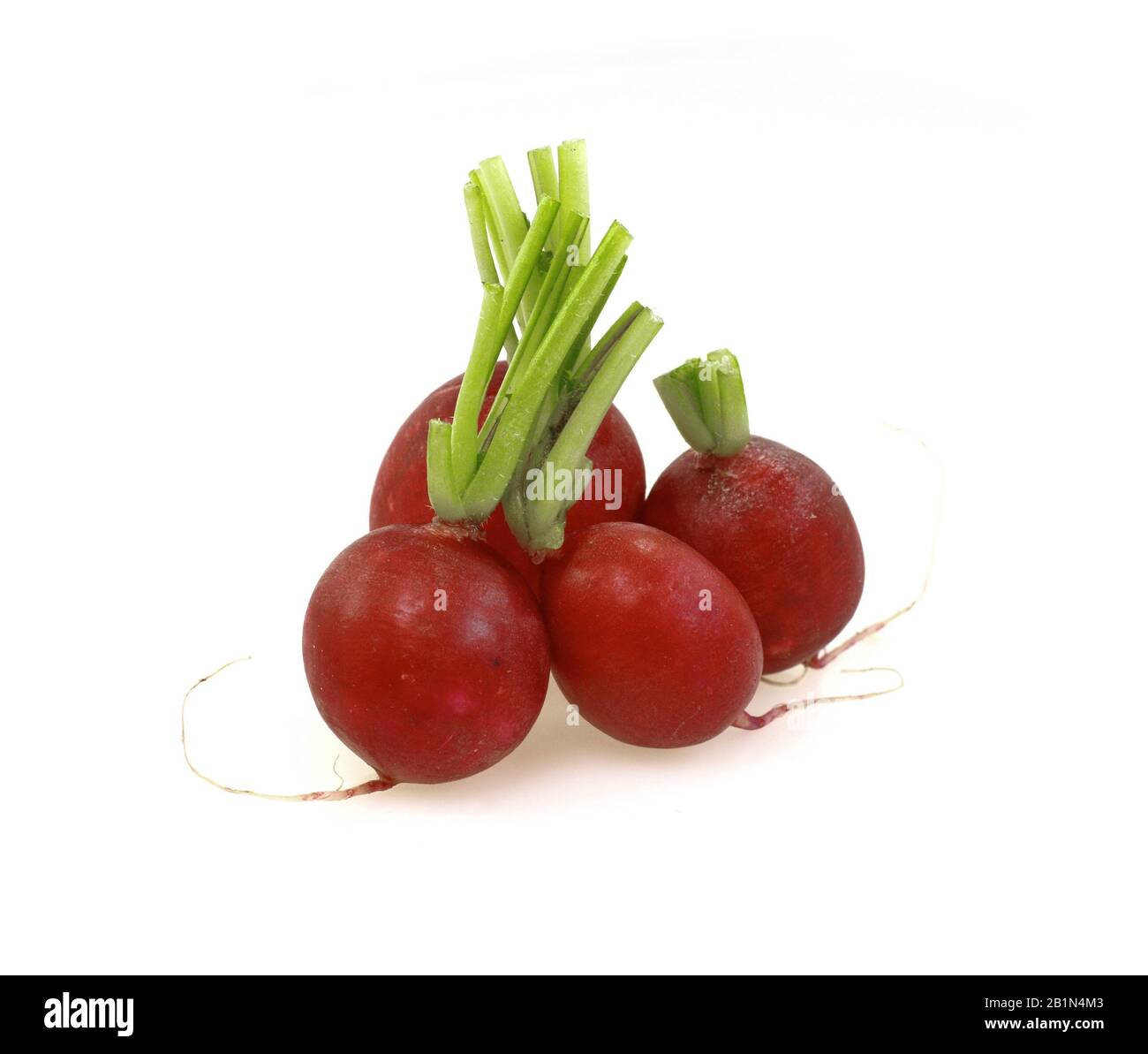 Red radish isolated on white background Stock Photo - Alamy