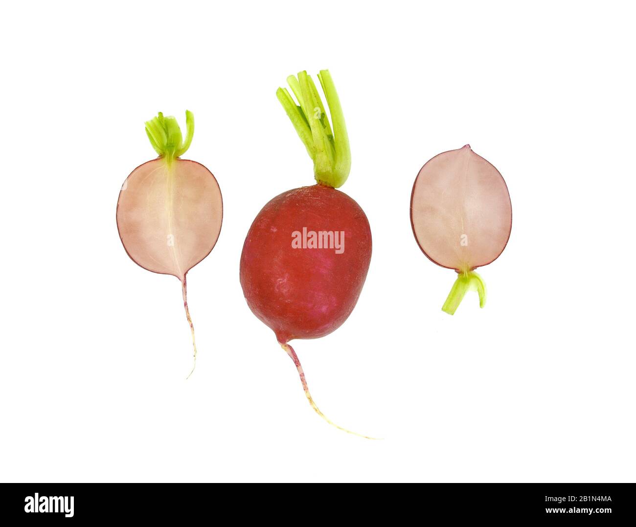 Red radish isolated on white background Stock Photo - Alamy