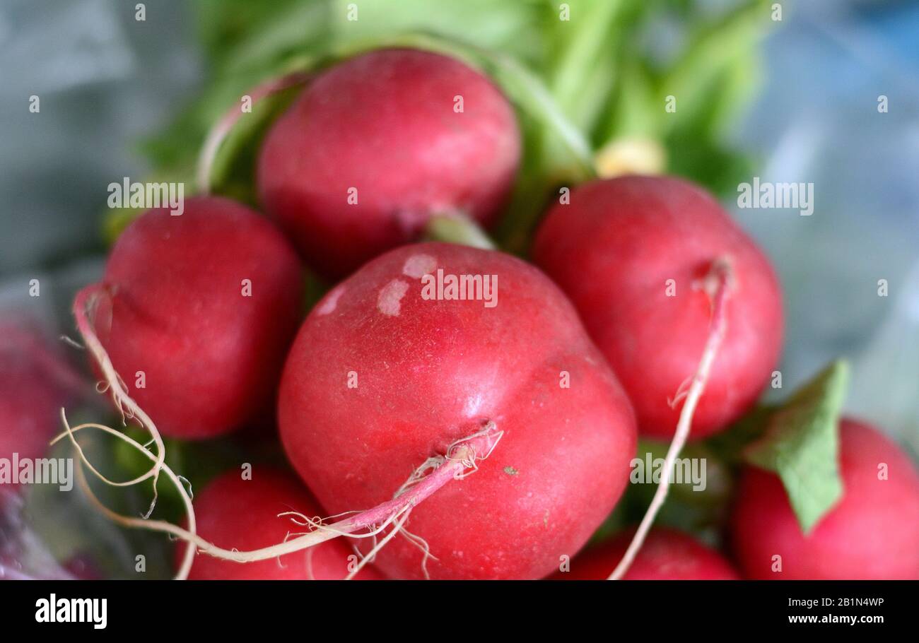 Bunch of red radishes in the market. Full frame of red radish. Food ...