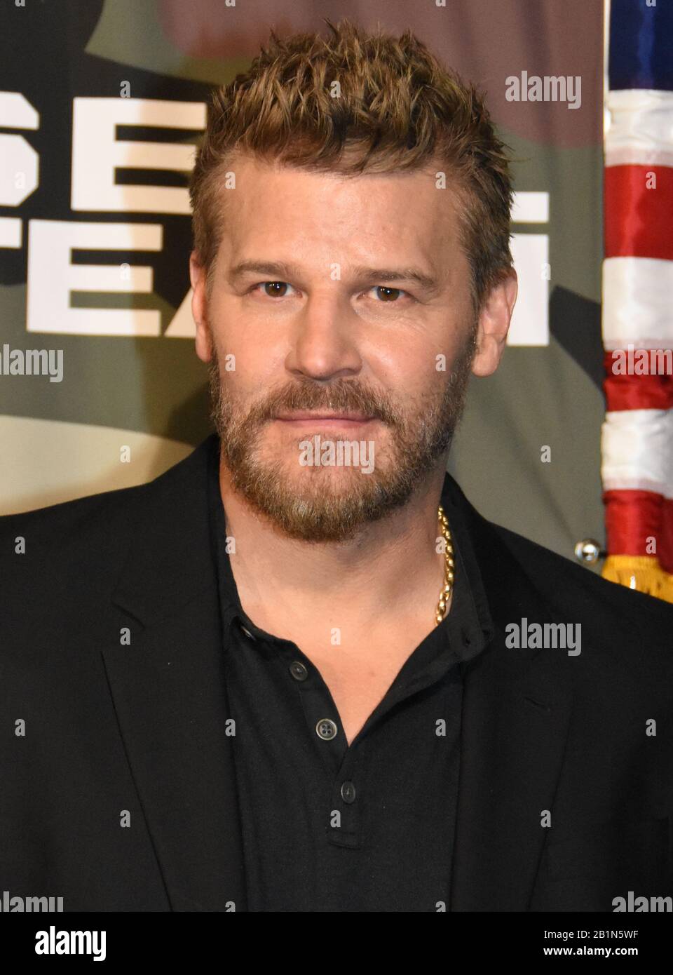 Hollywood, California, USA 25th February 2020 Actor David Boreanaz ...