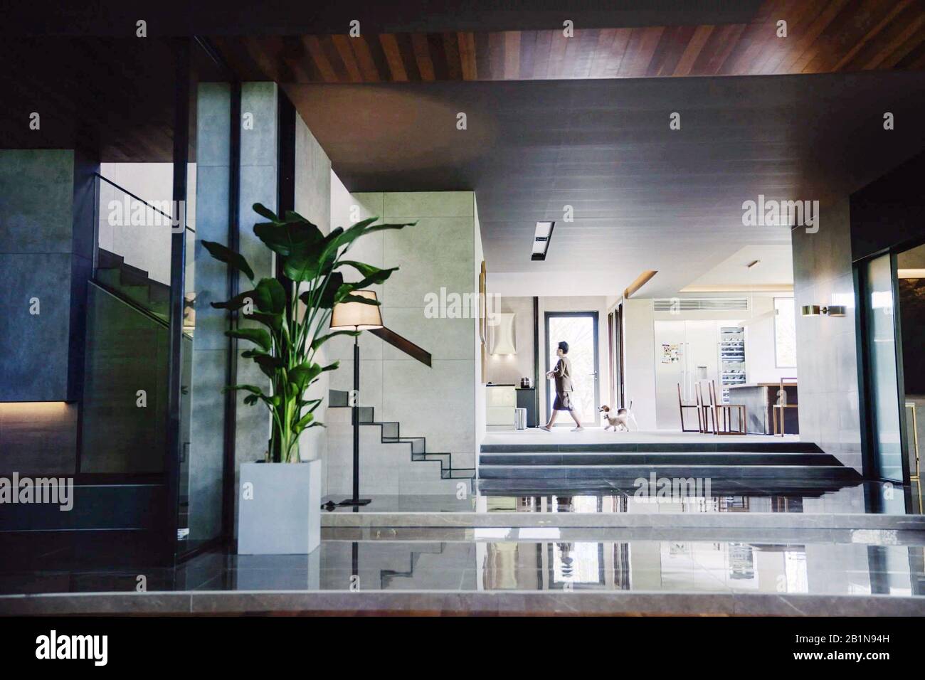 PARASITE, (aka GISAENGCHUNG), LEE Jeong-eun, 2019. © Neon / courtesy ...