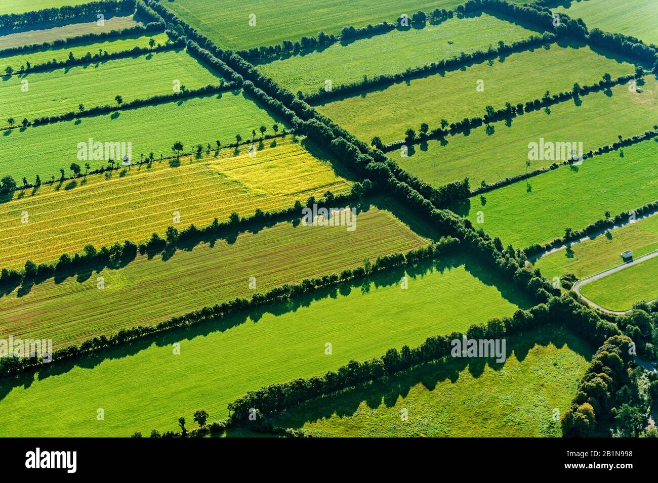 field landscape with hedges banks, aerial view, Germany, Schleswig ...