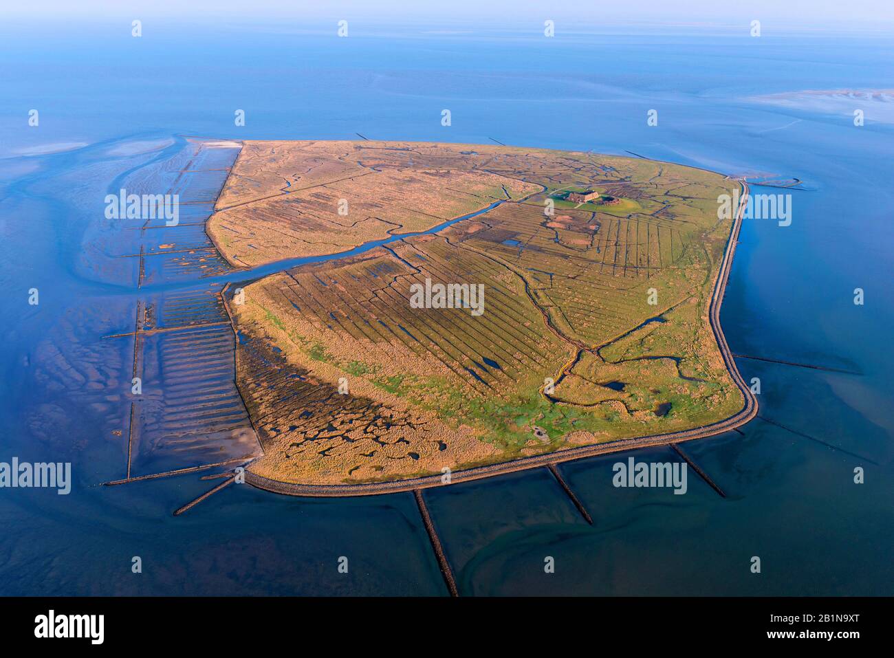 aerial view of Hallig Suederoog with marsh meadows and terp, Germany ...