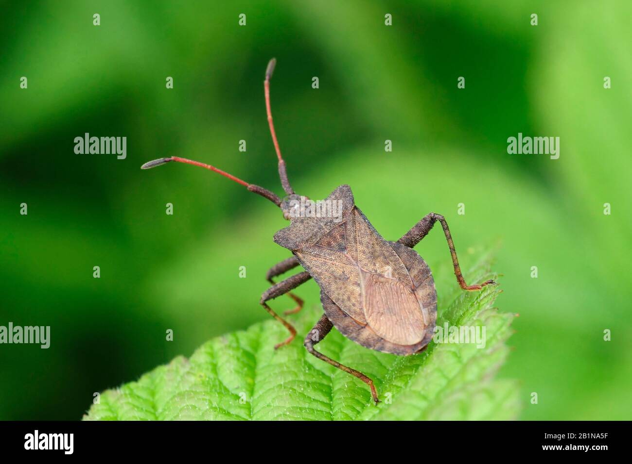 Rear angle view hi-res stock photography and images - Alamy