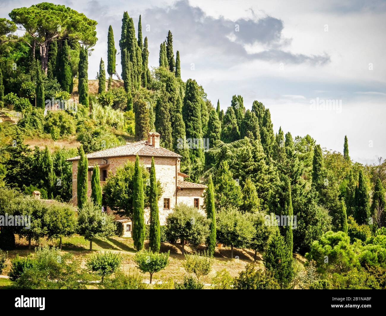 Italian cypress (Cupressus sempervirens), picturesque landscape in the ...