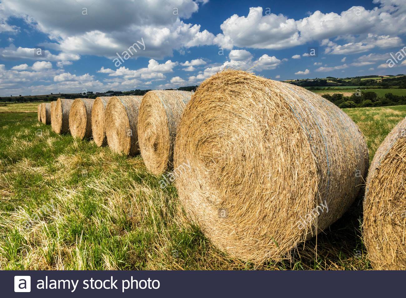 Haylage Bale Wrap High Resolution Stock Photography and Images - Alamy