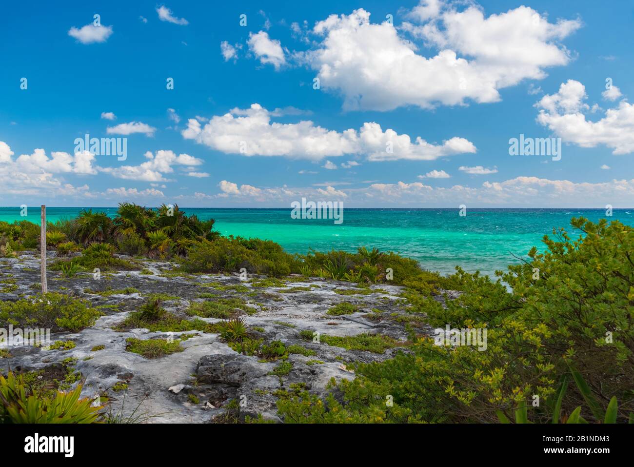Turquoise water in Riviera Maya, Mexico Stock Photo - Alamy