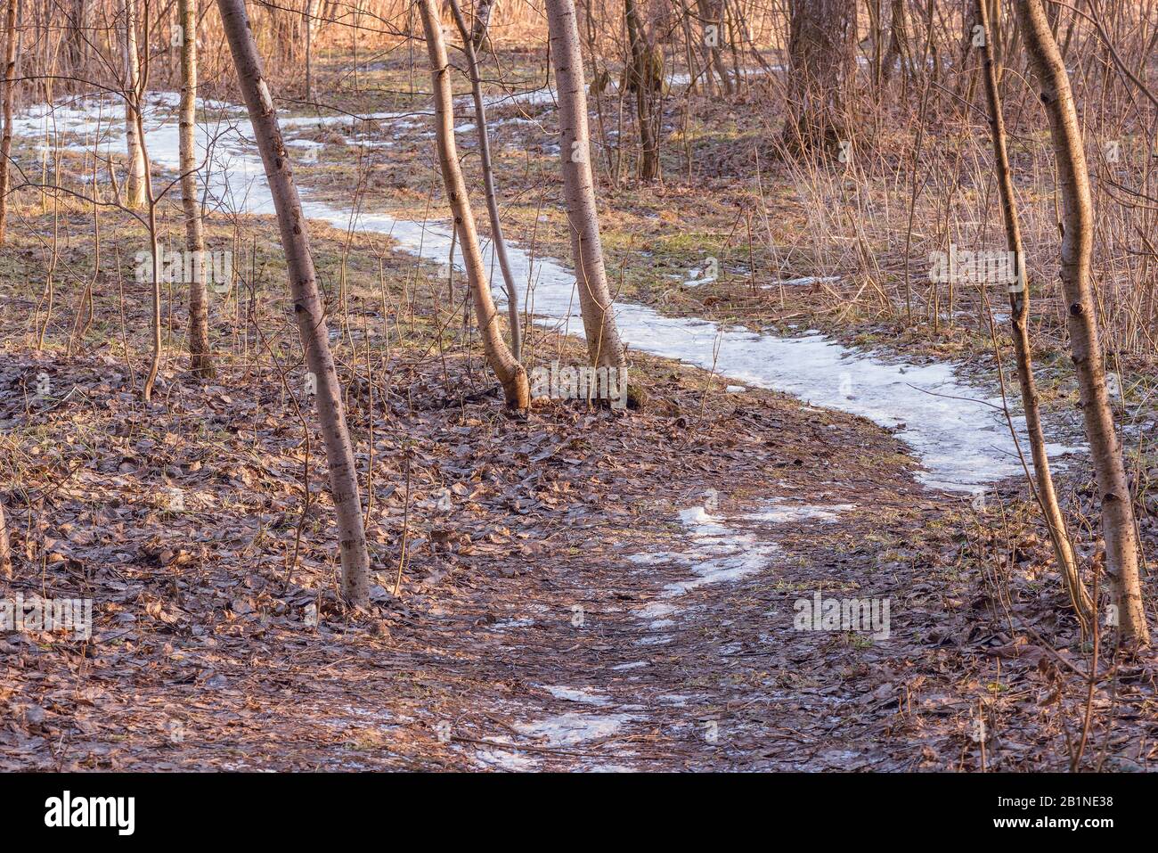 Narrow path in nature hi-res stock photography and images - Alamy