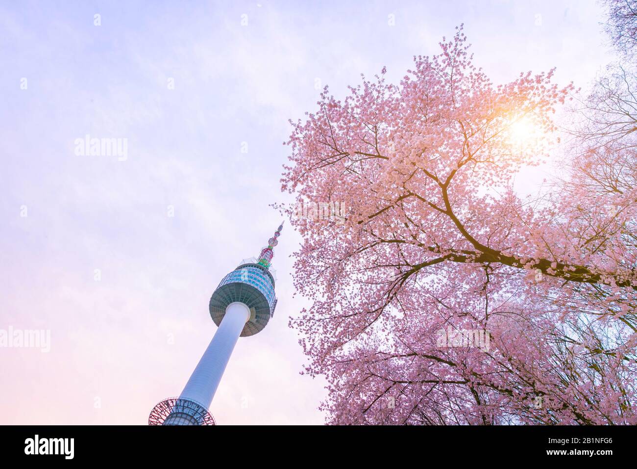 SEOUL, KOREA - April 13, 2019: Seoul tower at Spring time with cherry ...