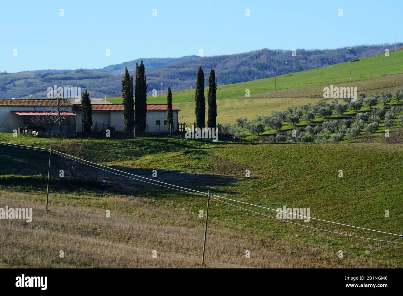 Bright sunny farm view hi-res stock photography and images - Alamy