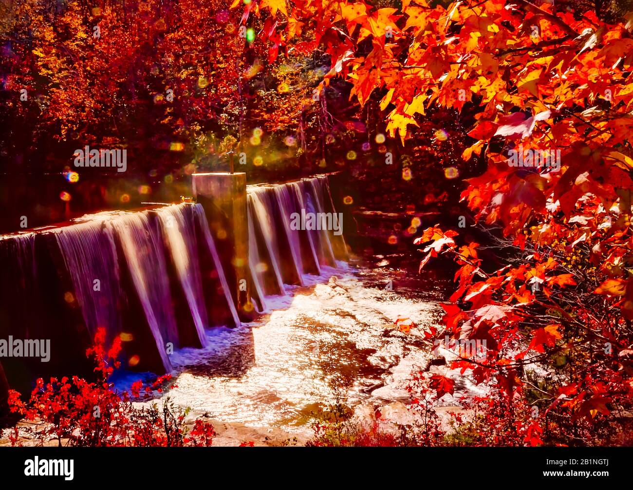 Autumn leaves offer a splash of color at DeSoto Falls, Nov. 4, 2017 in ...
