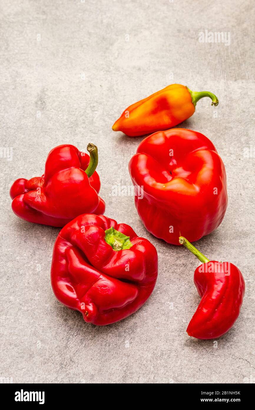Malformed pepper hi-res stock photography and images - Alamy