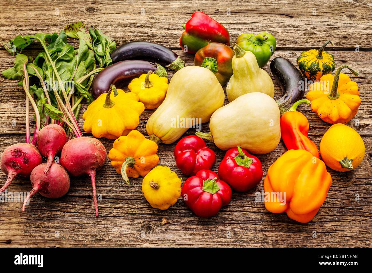 Autumn harvest vegetables. Set of beetroot, eggplant, pumpkin, pepper ...