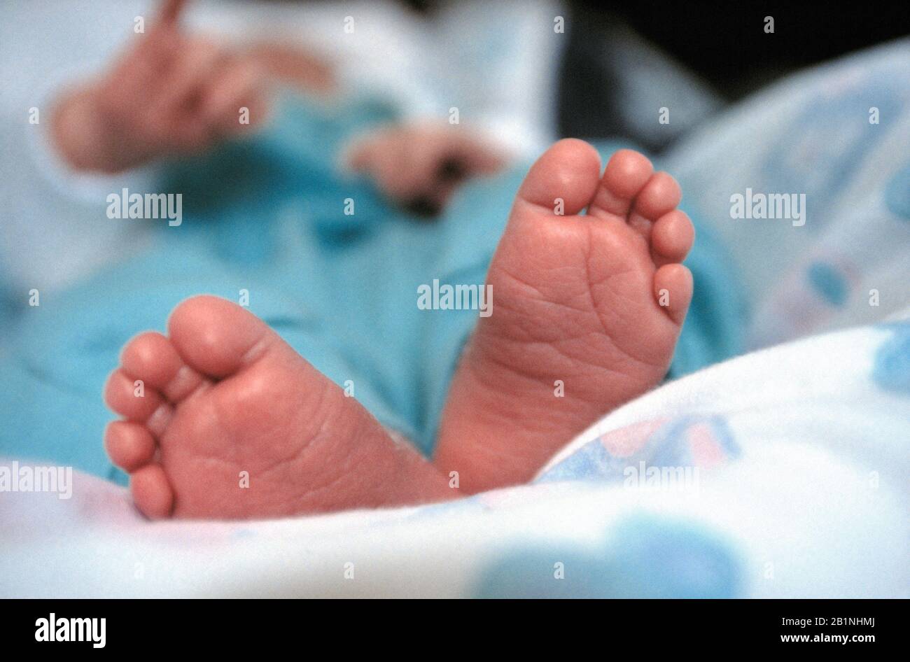 Feet of newborn baby girl at Northern Dutchess Hospital Stock Photo - Alamy