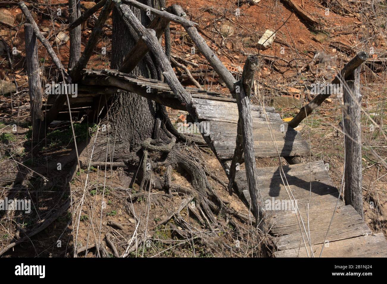 Rudimentary structure hi-res stock photography and images - Alamy