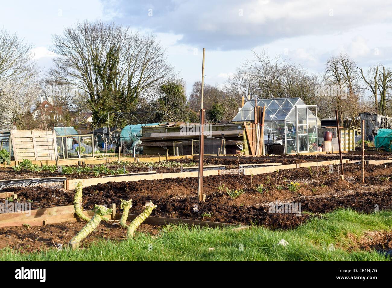 Communal plot hi-res stock photography and images - Alamy