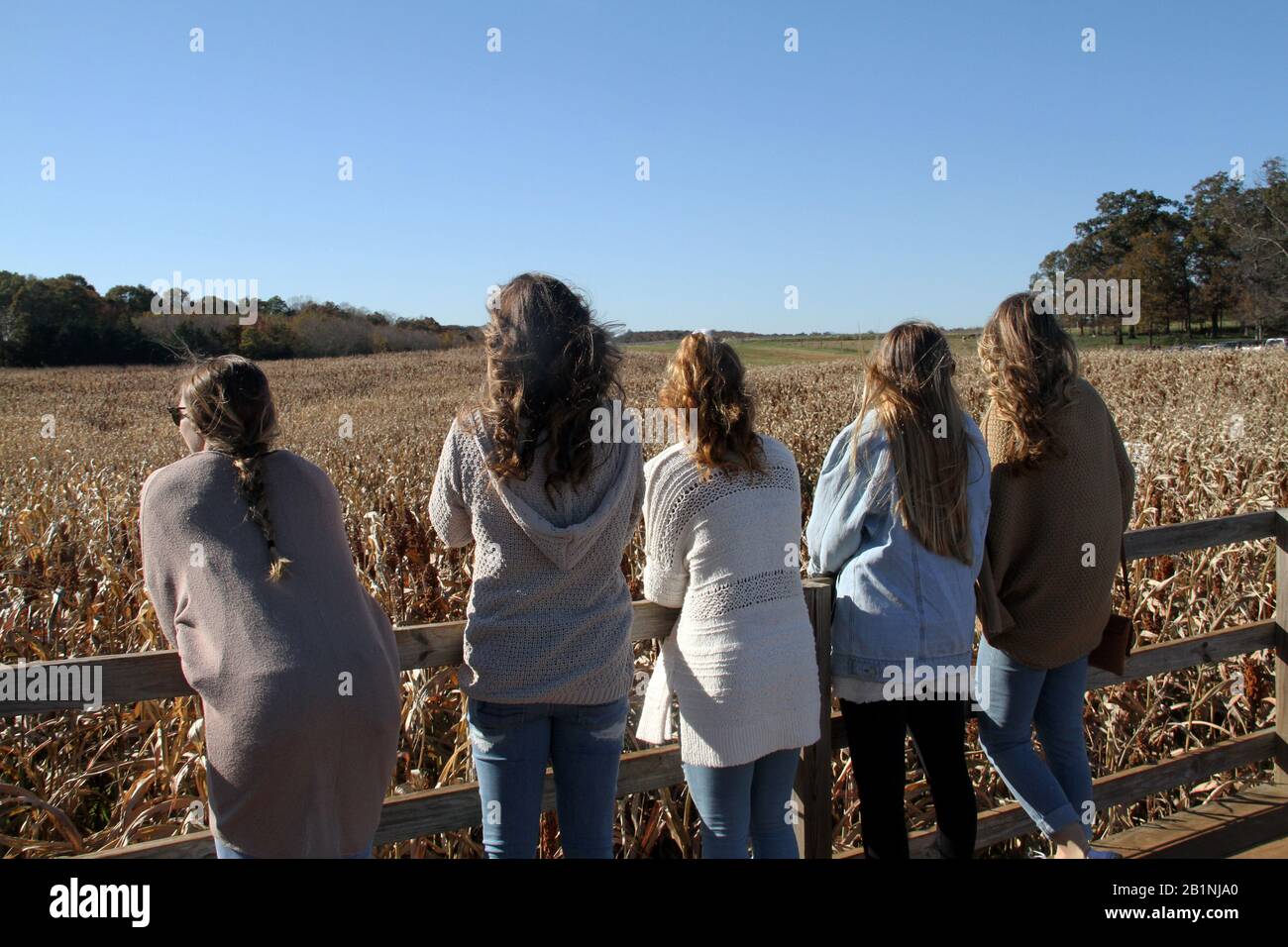 Visiting a farm hi-res stock photography and images - Alamy