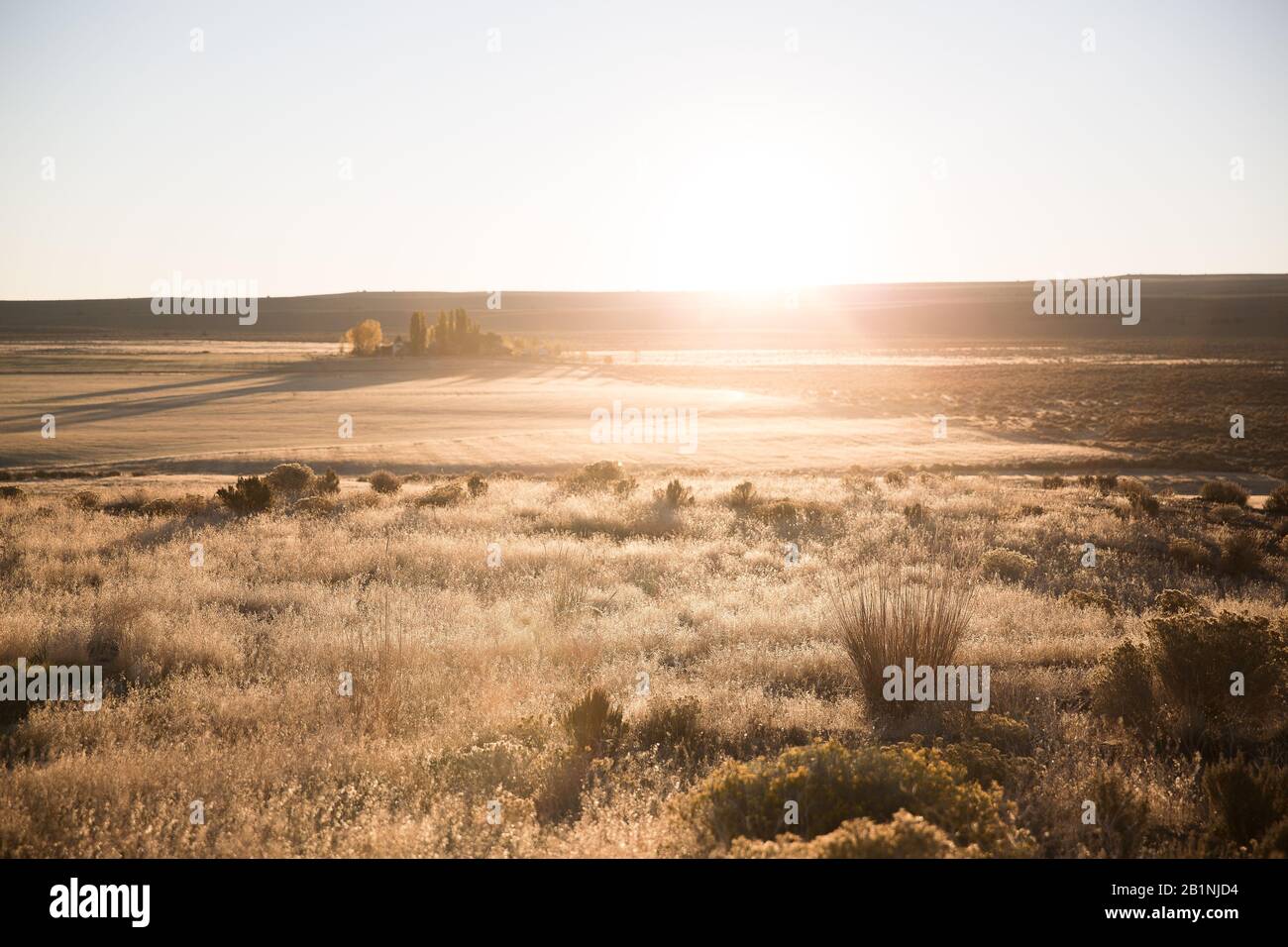 Desert Race Outdoor Riding Stock Photo - Alamy