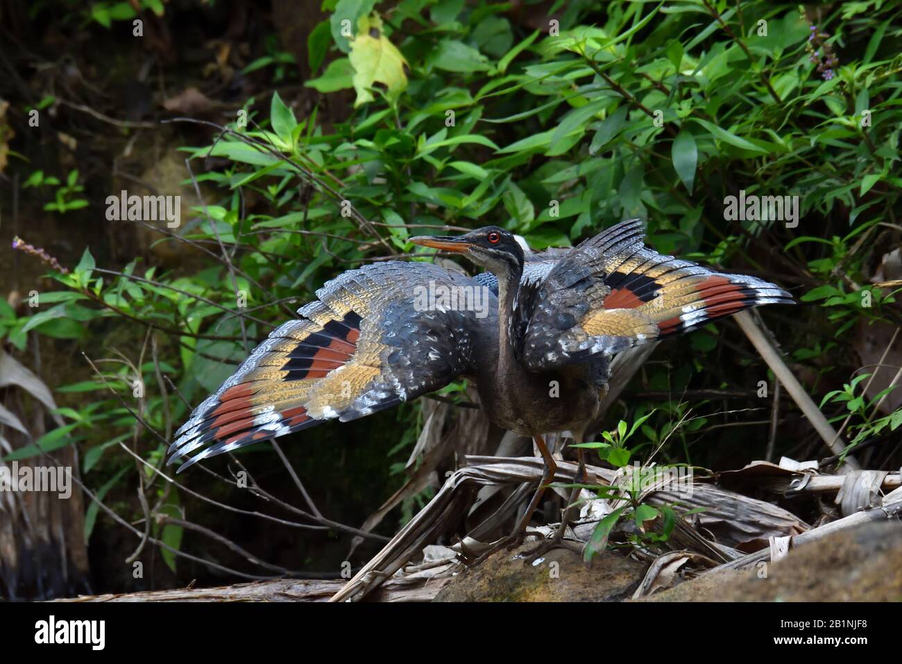 Flight pattern hi-res stock photography and images - Alamy