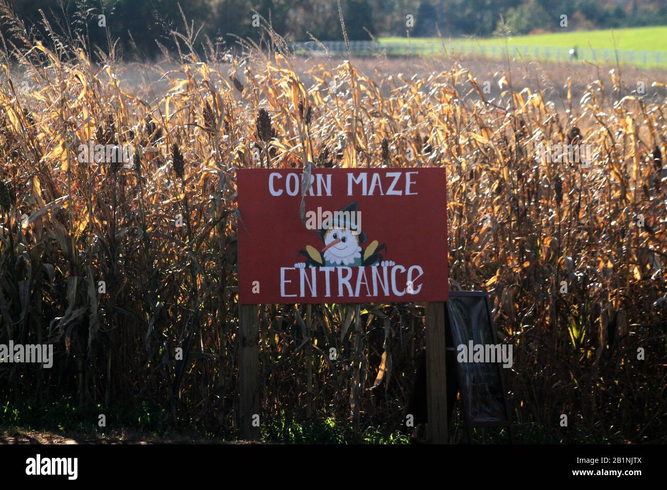 Corn maze entrance sign. Seasonal attraction at Yoders Farm, VA, USA ...