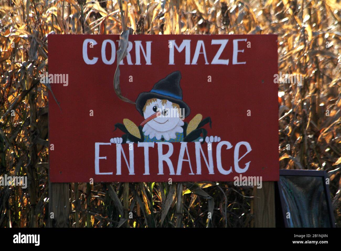 Corn maze entrance sign. Seasonal attraction at Yoders Farm, VA, USA ...