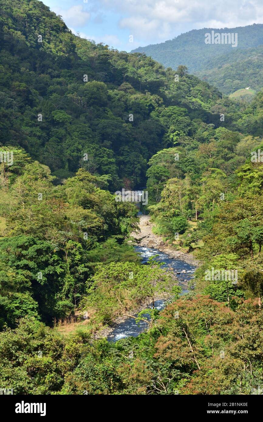 Tropical rainforest landscape hi-res stock photography and images - Alamy