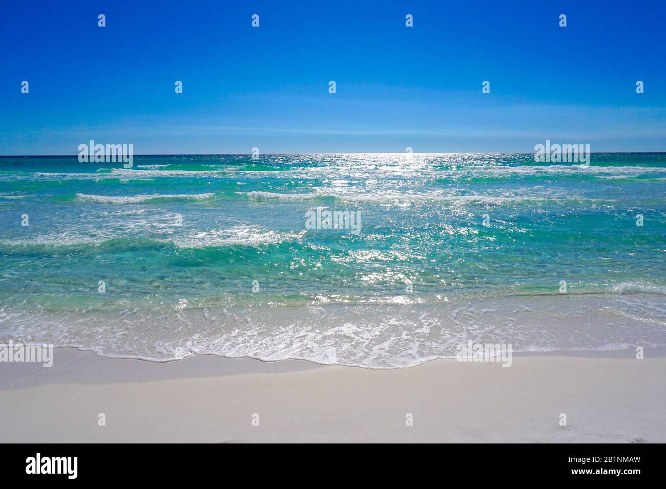 Shells at water edge hi-res stock photography and images - Alamy