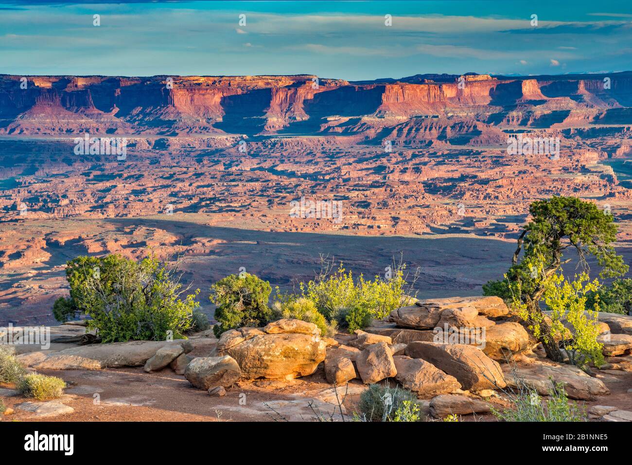Golden rims hi-res stock photography and images - Alamy