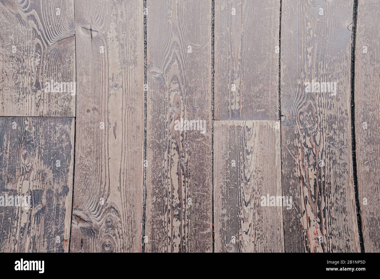 homogeneous floor of beautiful lacquered wood dark parquet with wood ...