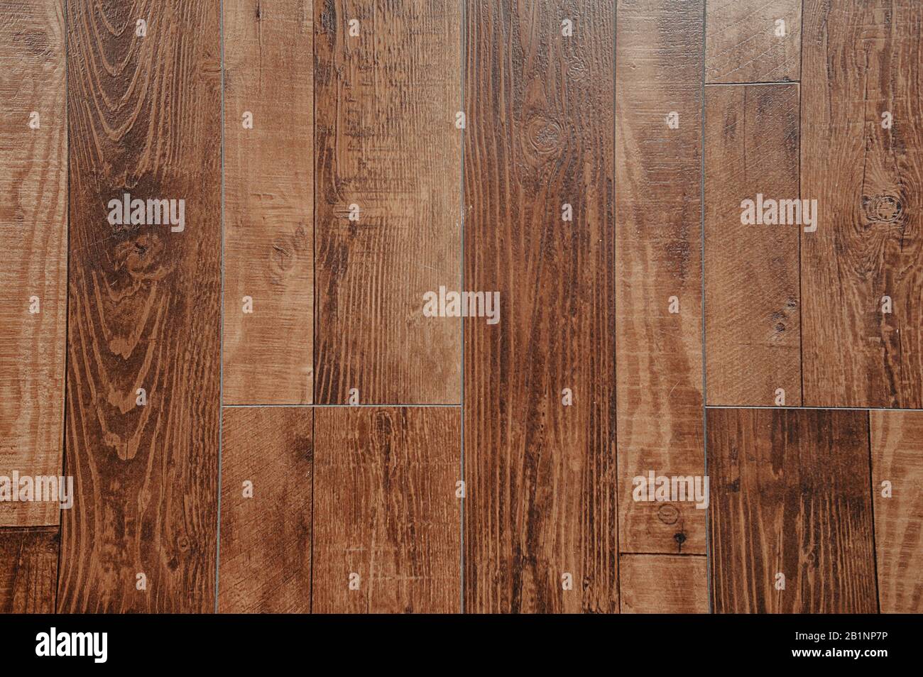 homogeneous floor of beautiful lacquered wood dark parquet with wood ...