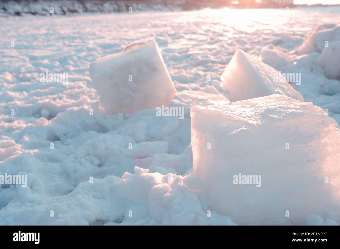 large made by man sawn ice cubes lie on the snow and on the frozen sea ...