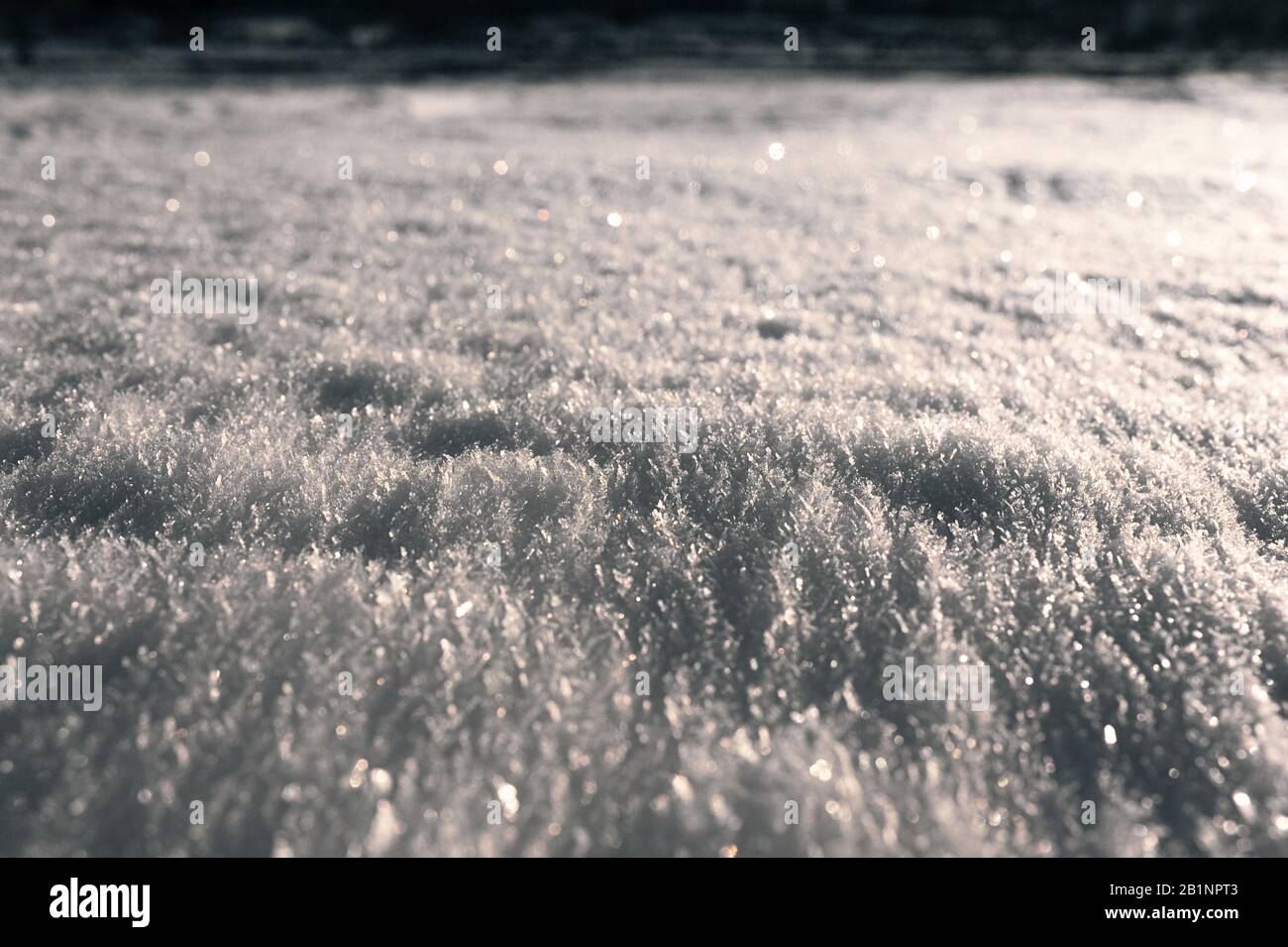 unusual snow cover of white color consisting of fluffy snow and ...