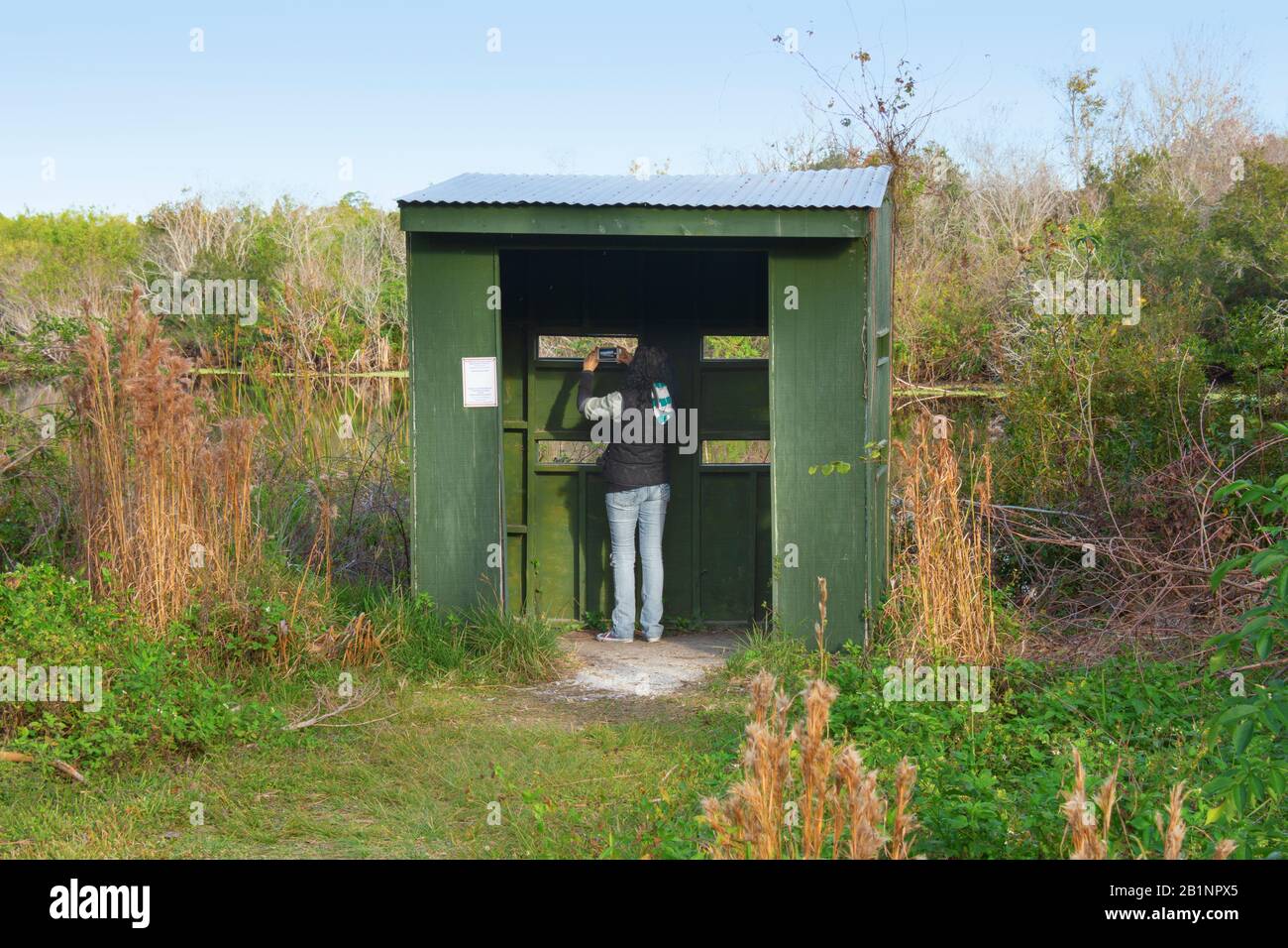 Wildlife observation blind on a lake deep within the woods with a woman ...