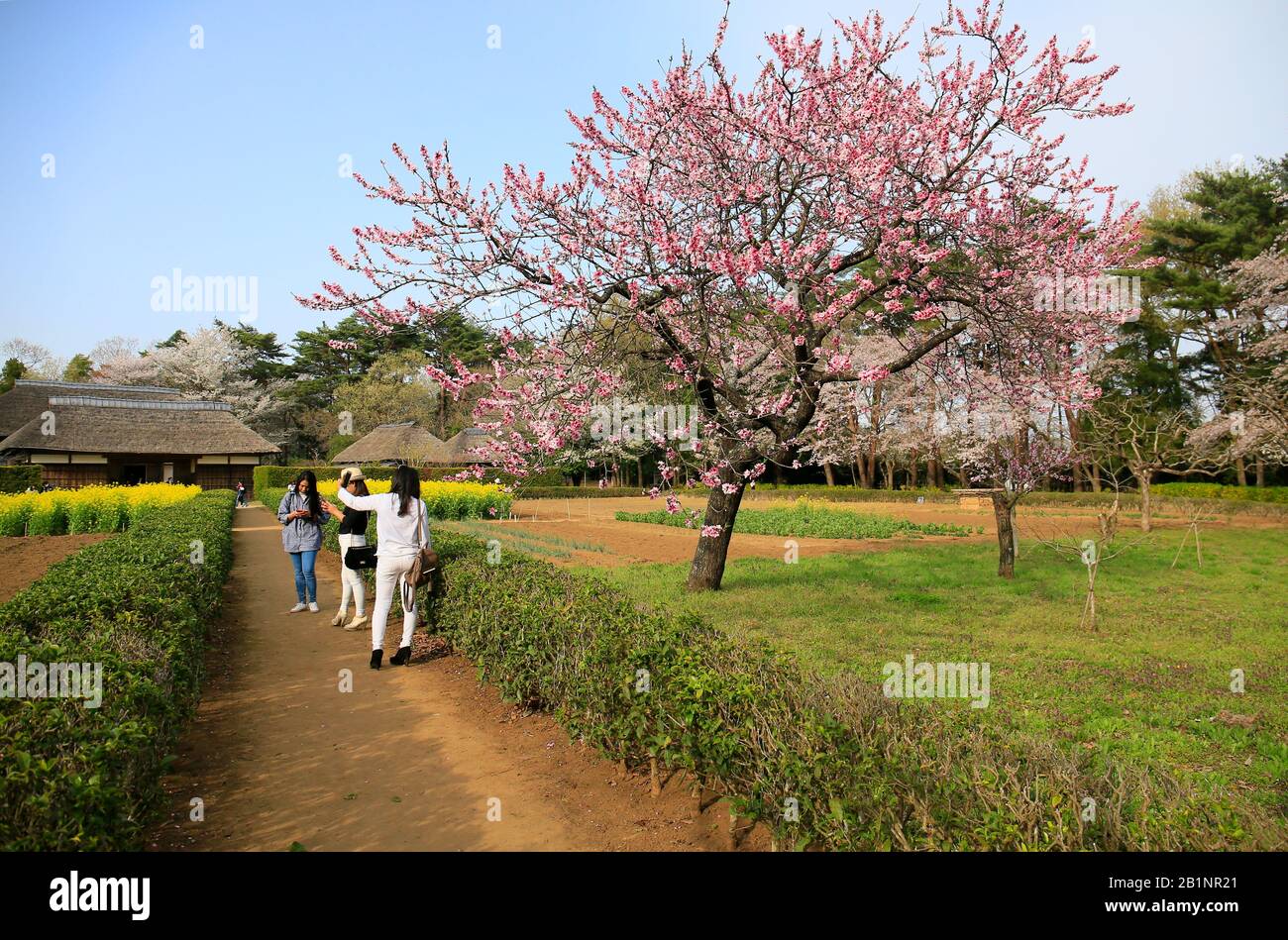 Boso village hi-res stock photography and images - Alamy