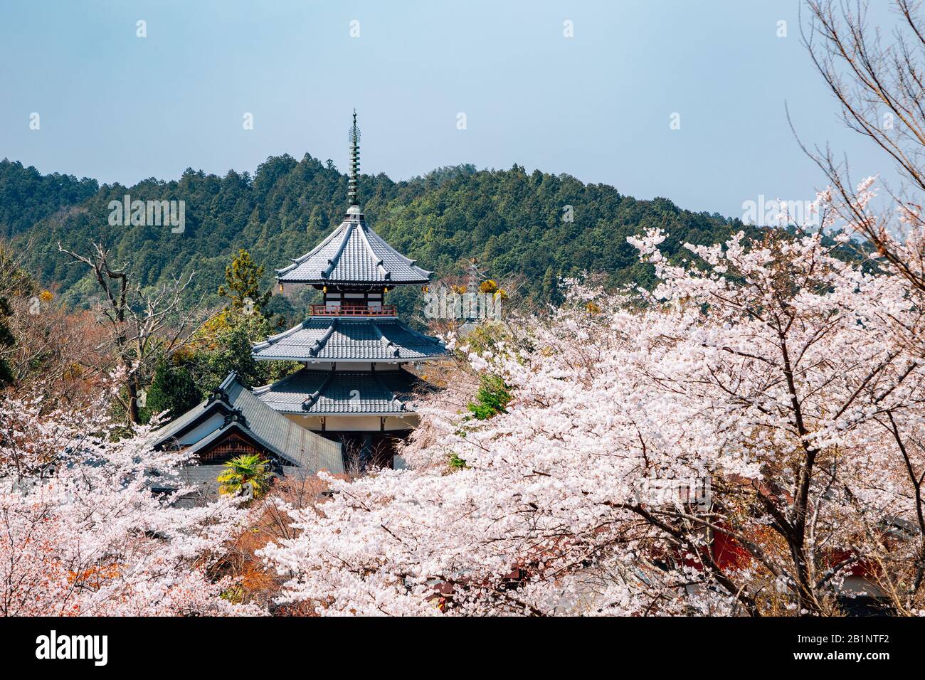 Yoshinoyama hi-res stock photography and images - Alamy