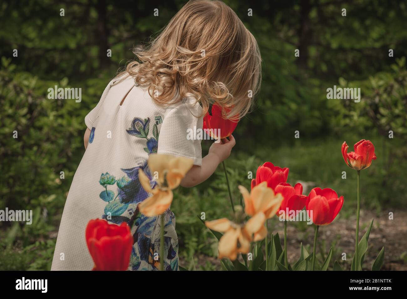 Back and smell hi-res stock photography and images - Alamy