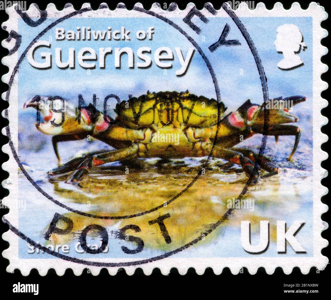 Common Shore Crab (Carcinus maenas Stock Photo - Alamy