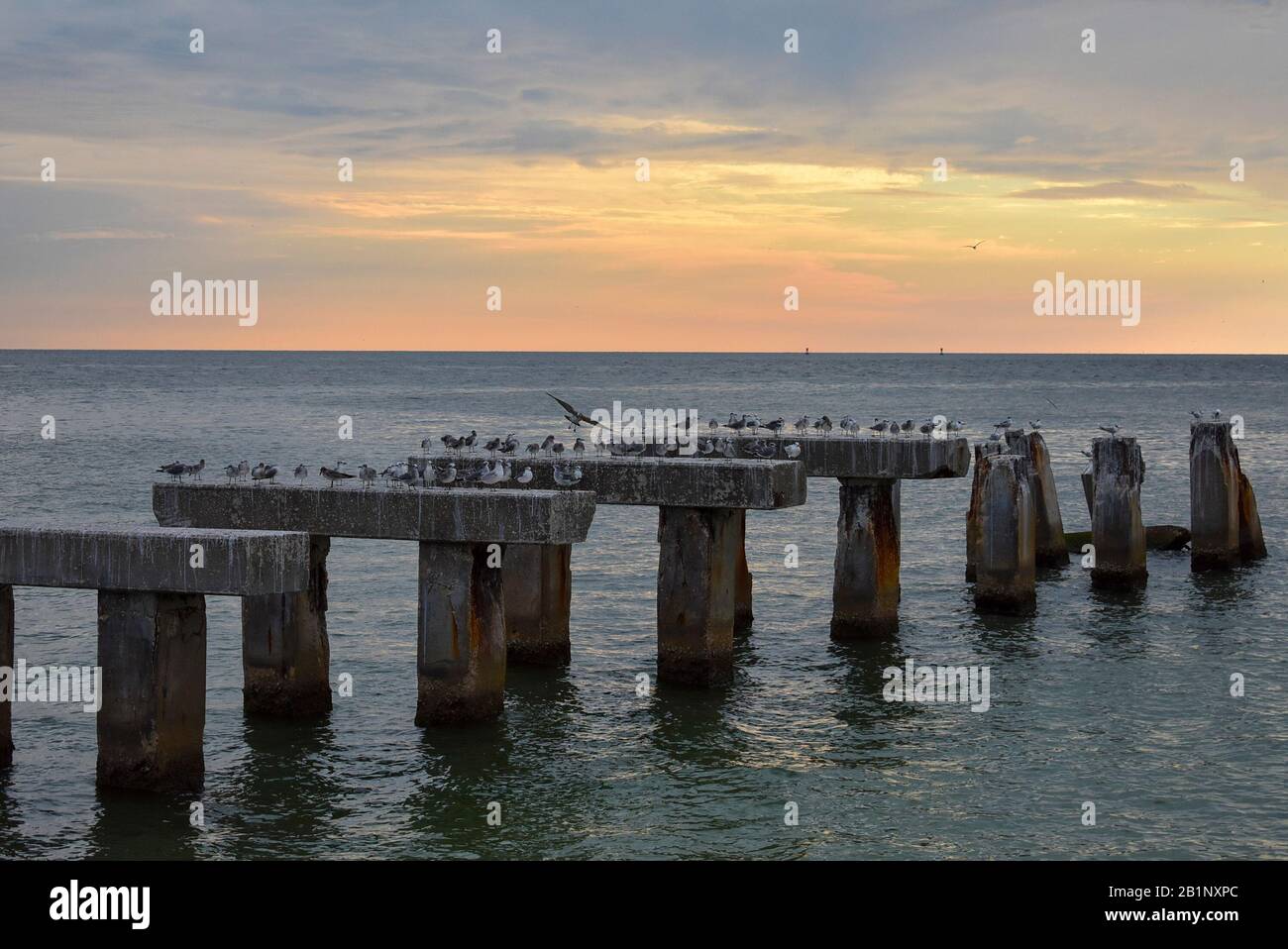 Twilight on the beach sunrise hi-res stock photography and images - Alamy