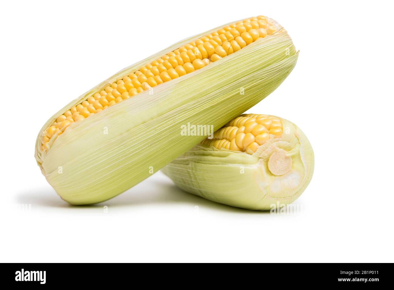 Two ear of sweet corn isolated on white background Stock Photo - Alamy