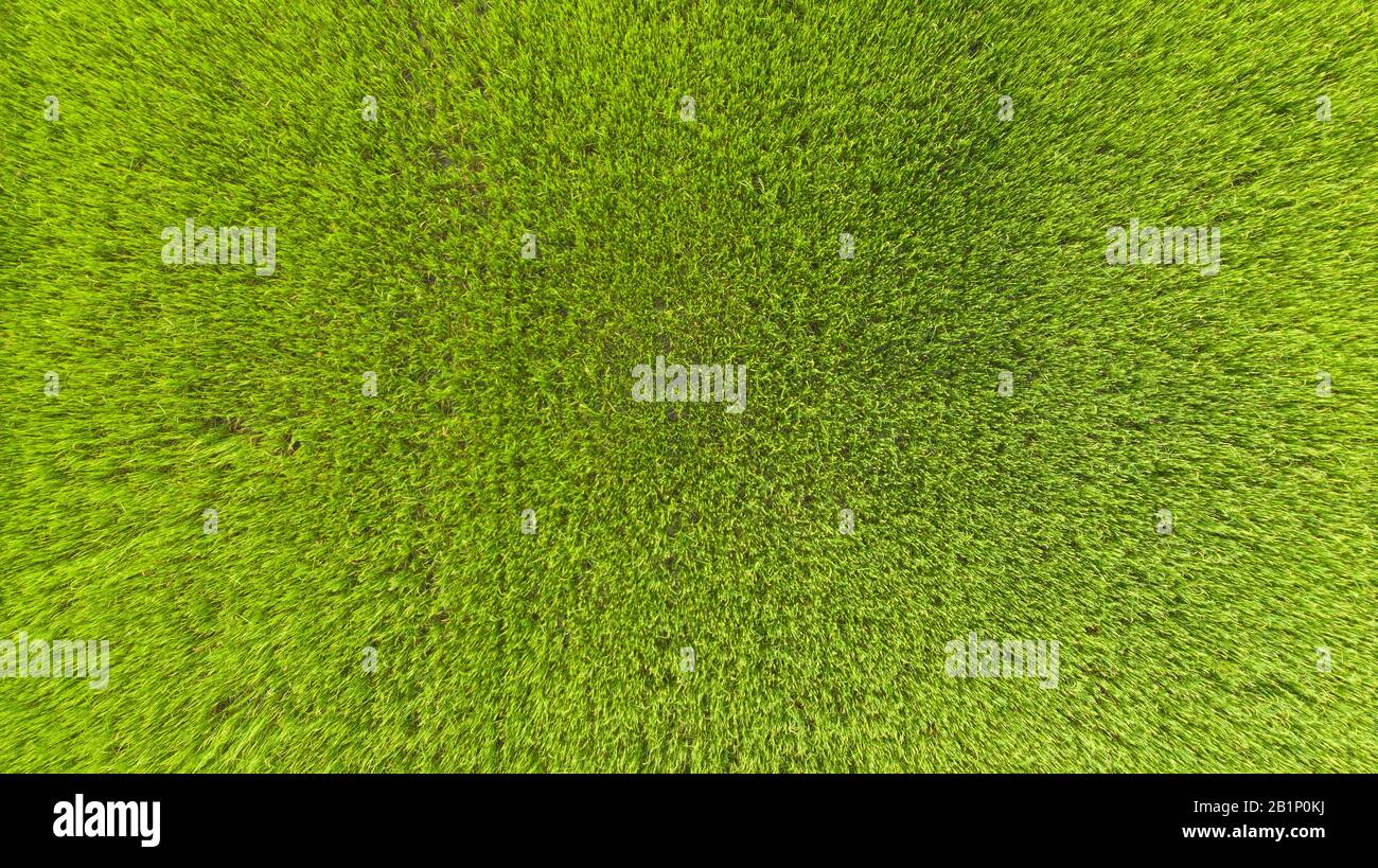 Rices map hi-res stock photography and images - Alamy