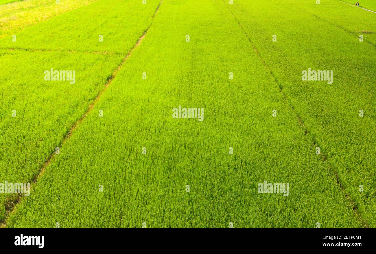 Rices map hi-res stock photography and images - Alamy