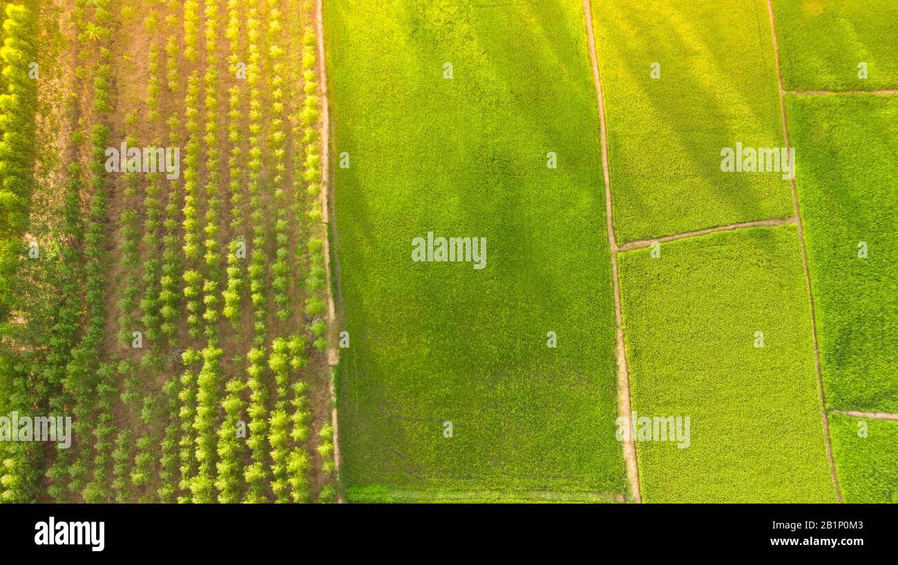 Rices map hi-res stock photography and images - Alamy