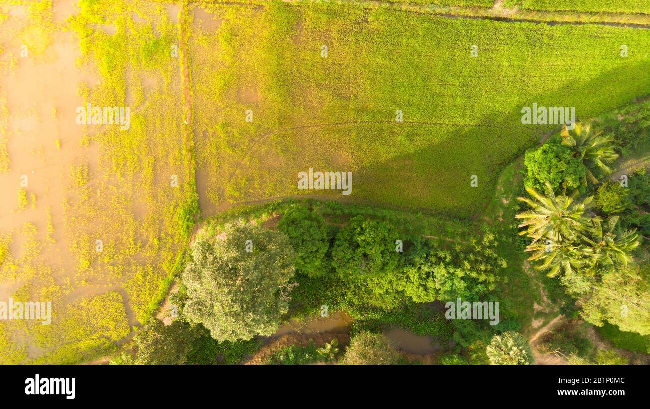 Rices map hi-res stock photography and images - Alamy