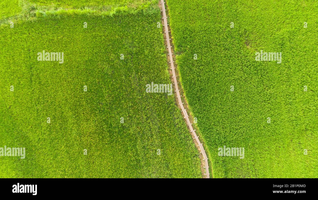 Bamboo map hi-res stock photography and images - Alamy