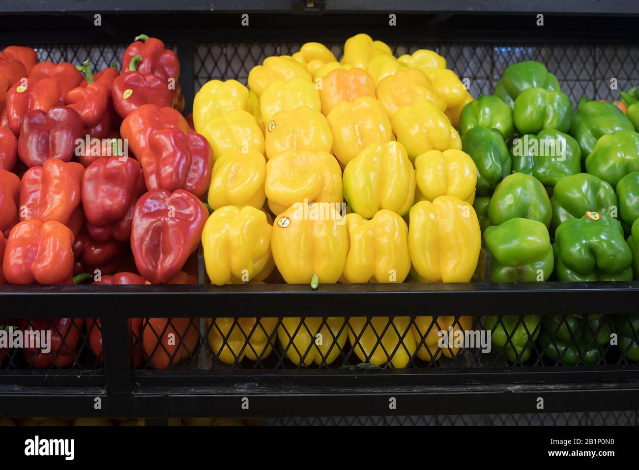 Fresh red, yellow and green bell peppers for sale in Carmel Market ...