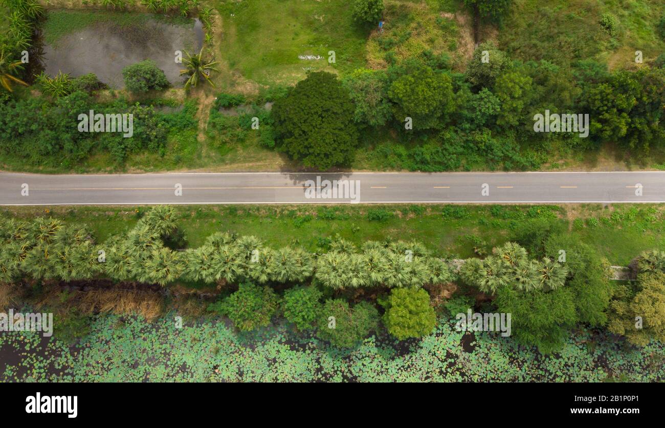 Top view of the path through the trees and field. From drone Stock ...