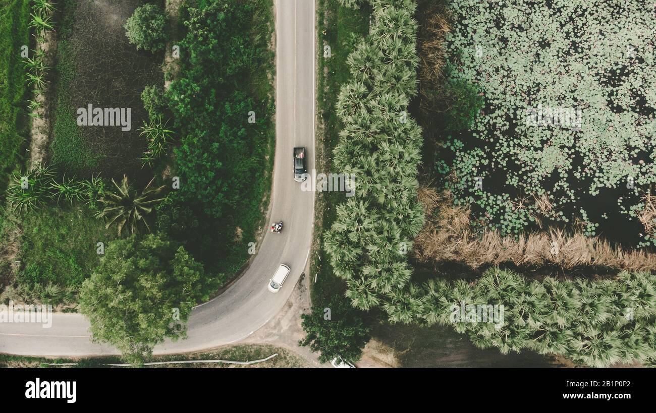 Top view of the path through the trees and field. From drone Stock ...